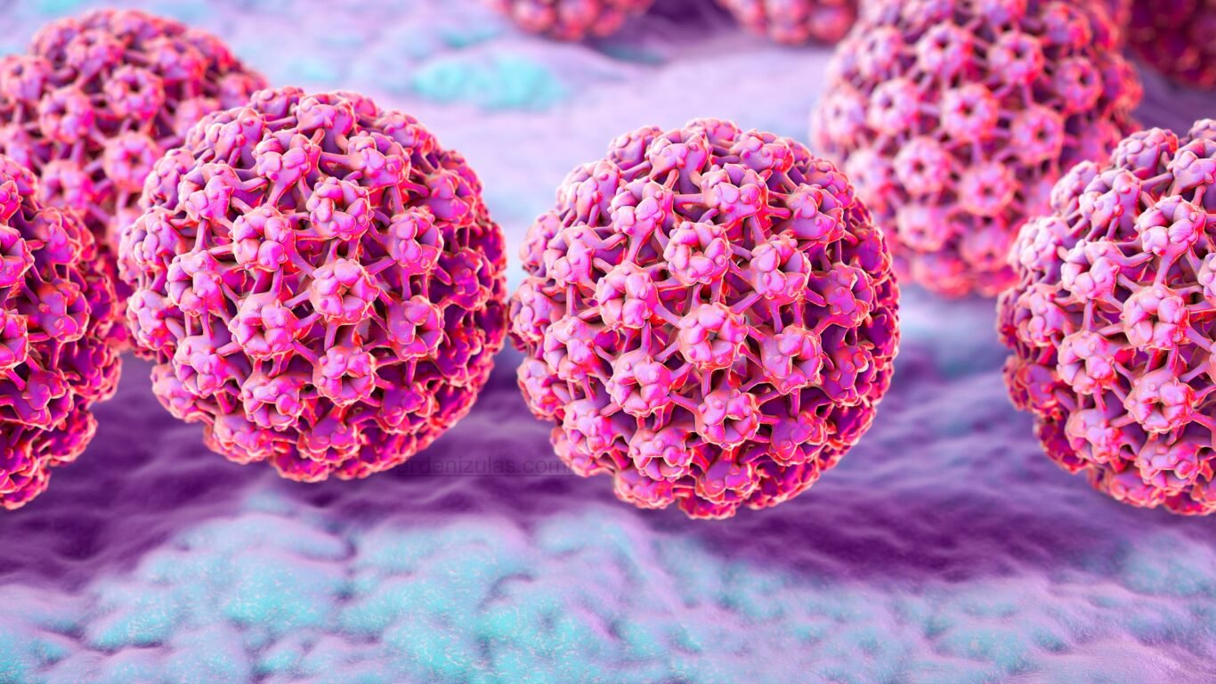 HPV Nedir? HPV Aşısı Nedir? - Prof. Dr. Deniz Ulaş